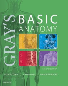 Gray's Anatomy for Students Flash Cards E-Book: 4th edition | Richard L ...