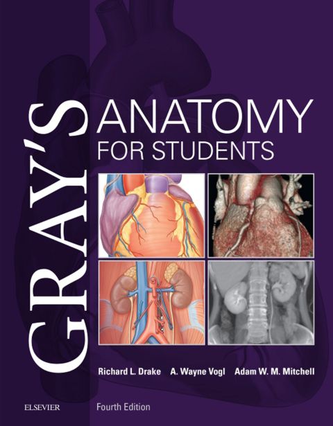 Gray's Anatomy for Students E-Book: 4th edition | Richard L. Drake ...