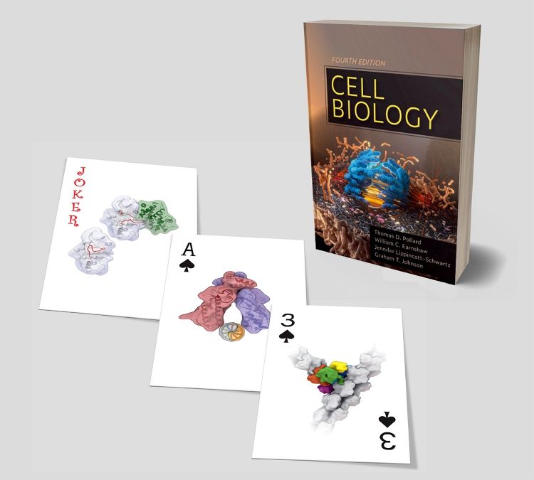 Cell Biology Playing Cards: 1st edition | Thomas D. Pollard | ISBN ...