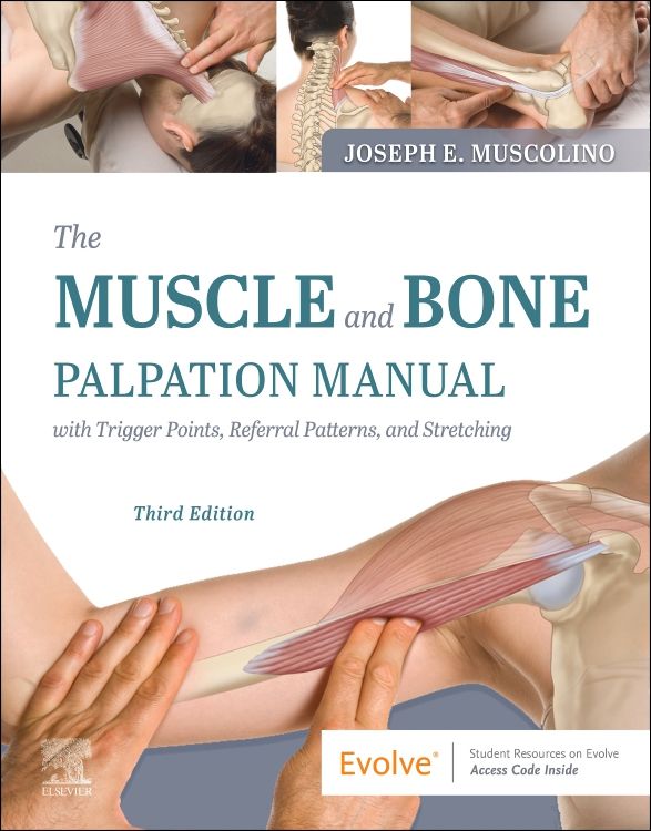 The Muscle and Bone Palpation Manual with Trigge: 3rd edition | Joseph ...