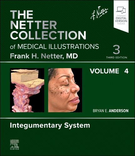 The Netter Collection of Medical Illustrations:: 3rd edition | Bryan E ...
