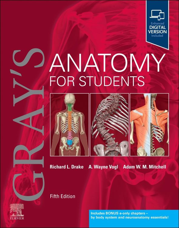 Gray's Anatomy for Students: 5th edition | Edited by Richard L. Drake ...