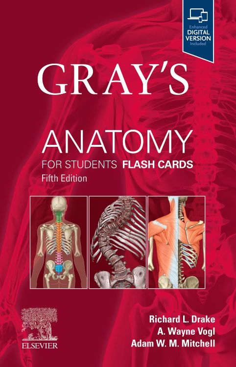 Gray's Anatomy for Students Flash Cards: 5th edition | Richard L. Drake ...