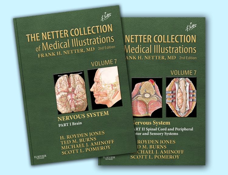 The Netter Collection of Medical Illustrations:: 2nd edition | Michael ...